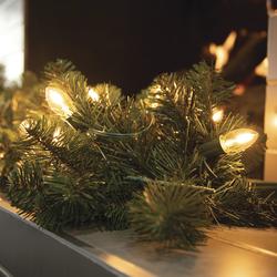 Enchanted Forest® LED Vintage 25-Light Warm White Transparent C7 ...