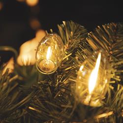 Enchanted Forest® LED Vintage 25-Light Warm White Transparent C9 ...