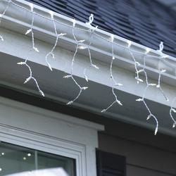 Enchanted Forest® LED Vintage 120-Light Pure White Twinkle Christmas ...