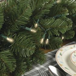 Enchanted Forest® LED 50-Light Warm White Mini Christmas String Light ...