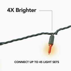 Enchanted Forest® 50-Light Red T5 Premium Christmas String Light Set at ...