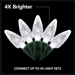 Enchanted Forest® 50-Light Pure White C6 Premium Christmas String Light ...