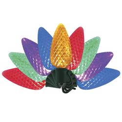 Enchanted Forest® 25-Light Multicolor Faceted C9 Premium Christmas ...