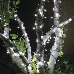 Enchanted Forest® LED 100-Light Pure White Sparkle Mini Premium ...