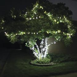 Enchanted Forest® LED 100-Light Pure White Sparkle Mini Premium ...