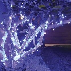 Enchanted Forest® LED 100-Light Blue Sparkle Mini Premium Christmas ...