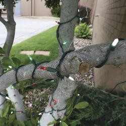 Enchanted Forest® LED 100-Light Red/Green/Cool White Mini Premium ...