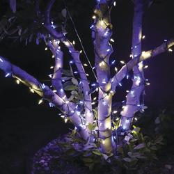 Enchanted Forest® LED 100-Light Blue/Cool White Mini Premium Christmas ...