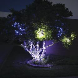 Enchanted Forest® LED 100-Light Blue/Cool White Mini Premium Christmas ...