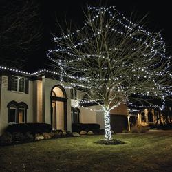 Enchanted Forest® LED 100-Light Pure White Diamond Cut C6 Premium ...