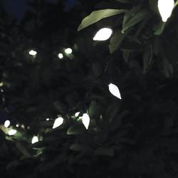 Enchanted Forest® LED 100-Light Pure White Diamond Cut C6 Premium ...