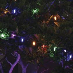 Enchanted Forest® LED 100-Light Multicolor Diamond Cut C6 Premium ...