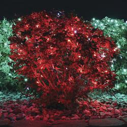 Enchanted Forest® 4'x4' Red 100-Light Mini Premium Christmas Net Light ...