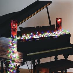 Enchanted Forest® LED 250-Light Multicolor Cluster Premium Christmas ...