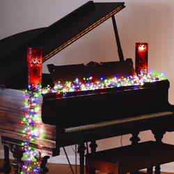 Enchanted Forest® LED 250-Light Color-Changing Cluster Premium ...