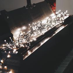 Enchanted Forest® 1,000 Light Pure White Cluster Premium Christmas ...