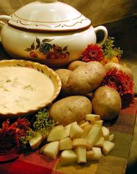 Early-Season White Seed Potatoes - 5 lb. at Menards®