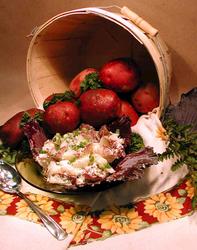 Late-Season Red Seed Potatoes - 5 lb. at Menards®