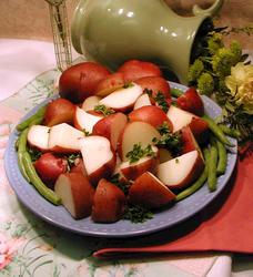 Mid-Season Red Seed Potatoes - 5 lb. at Menards®