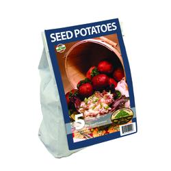 Late-Season Red Seed Potatoes - 5 lb. at Menards®