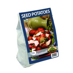 Mid-Season Red Seed Potatoes - 5 lb. at Menards®