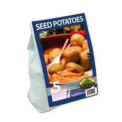 Mid-Season Brown Seed Potatoes - 5 lb. at Menards®
