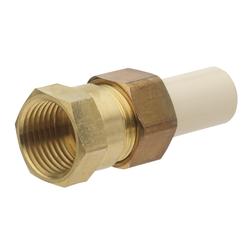 Homewerks™ 1/2" Solvent x FIP CPVC Transition Union at Menards®