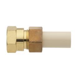 Homewerks™ 1/2" Solvent x FIP CPVC Transition Union at Menards®