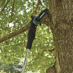 Masterforce® 80-Volt Brushless Cordless 10" Pole Saw at Menards®