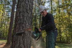 Masterforce® 20" 80-Volt Brushless Cordless Chainsaw at Menards®