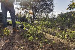 Masterforce® FlexConnect® 10" 80-Volt Brush Cutter Attachment at Menards®