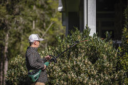 Masterforce® FlexConnect® 16" 80-Volt Hedge Trimmer Attachment at Menards®