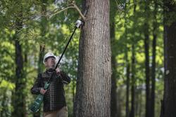 Masterforce® FlexConnect® 80-Volt 10" Pole Saw Attachment at Menards®