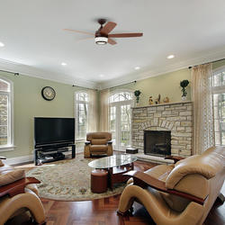 Patriot Lighting™ Taylor 48" Espresso Indoor LED Ceiling Fan at Menards®