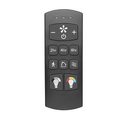 Patriot Lighting® Regency Park Ceiling Fan Remote at Menards®