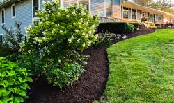 Hull Farm 100% Natural Cocoa Shell Mulch at Menards®