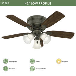 Hunter® Low Profile 42" Provencal Gold Indoor 3-Light Ceiling Fan at ...