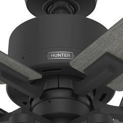 Hunter® HunterExpress® Techne 52" Matte Black Indoor 4-Light Smart ...