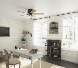 Hunter® Shady Grove 52" Matte Black Low Profile Indoor LED Ceiling Fan ...