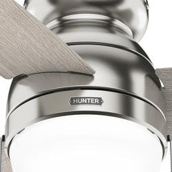 Hunter® Belafonte 44" Brushed Nickel Indoor 2-Light Ceiling Fan at Menards®