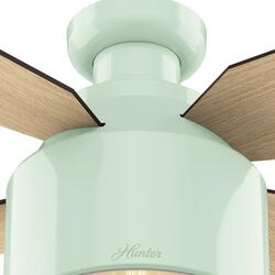 Hunter® Cranbrook 52" Mint Indoor 1-Light Ceiling Fan with Remote at ...