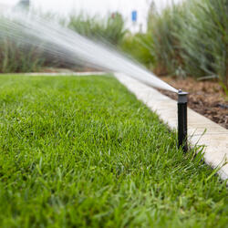 Hunter® 6" Sprinkler Head at Menards®