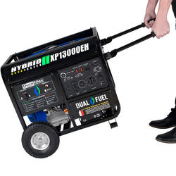 DuroMax 10,500 (G) 9,975 (LP) Running Watt Dual Fuel Portable Generator ...