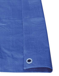 Yardworks® 6' x 8' Blue Standard-Duty Tarp at Menards®