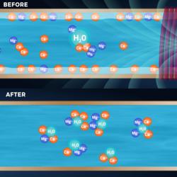 iSpring Electronic Water Descaler at Menards®