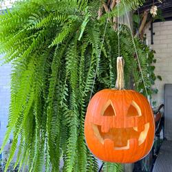 20" Invisa-Hanger™ Planter Hanger at Menards®