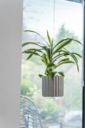 20" Invisa-Hanger™ Planter Hanger at Menards®