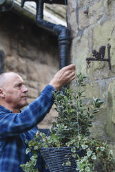 20" Invisa-Hanger™ Planter Hanger at Menards®