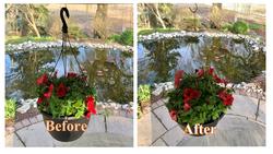 20" Invisa-Hanger™ Planter Hanger at Menards®