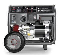 Briggs & Stratton® 8,000 Running 10,000 Starting Watt Dual-Fuel ...